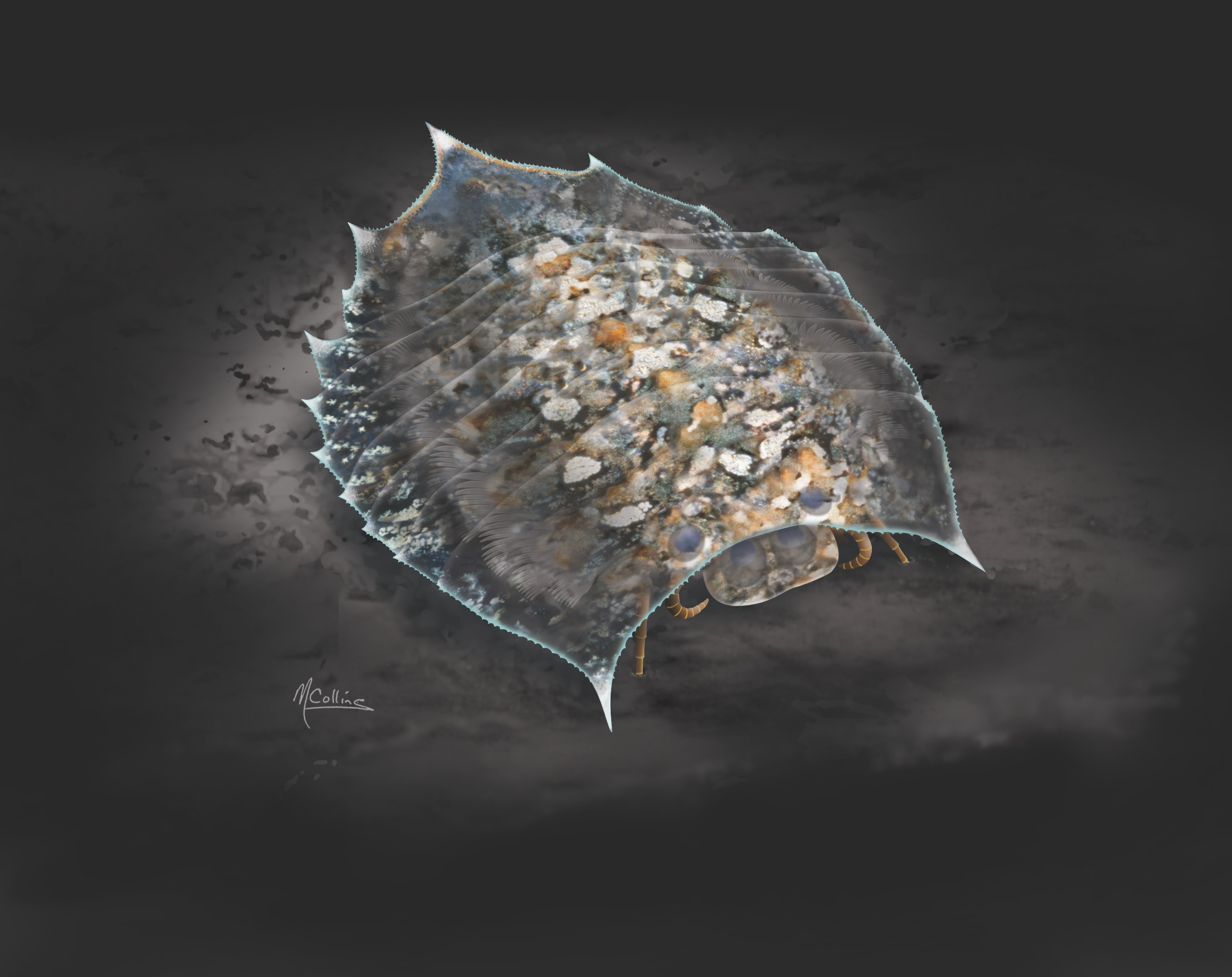 Ancient fossil sheds big light on evolution mystery: solving a 100-year ...
