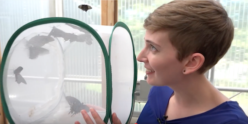 OEB Grad Student, Molly Edwards, Creator and Host of "Science IRL ...